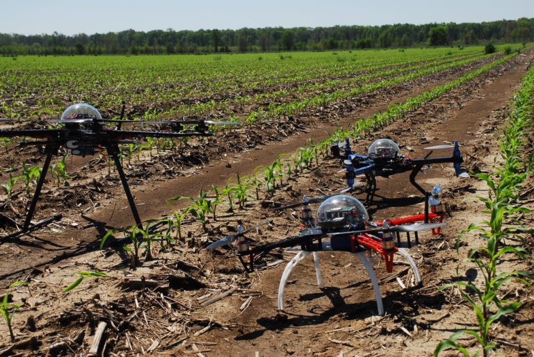 Precision Agriculture - CropIT