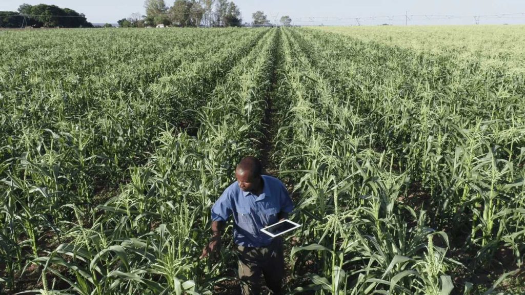 Monitoring & Evaluation - CropIT